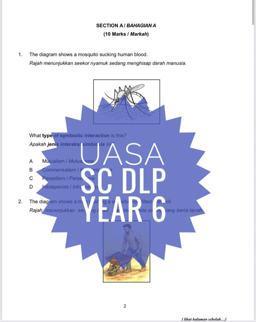 UASA - SCIENCE DLP YEAR 6 2025/2026 (Set 1B) | Soalan Science Tahun 6 ...