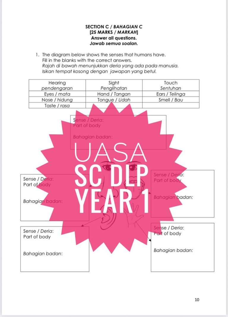 UASA - SCIENCE DLP YEAR 1 2025/2026 (Set 1A - JSU) | Soalan Science ...